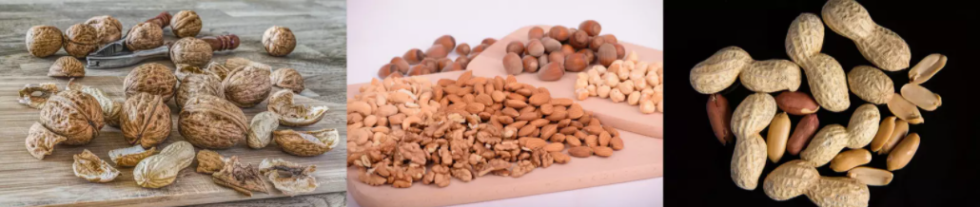 Top 8 des aliments riches en zinc