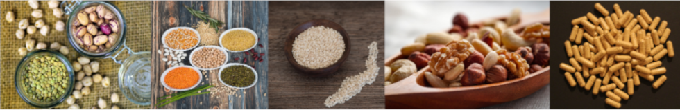 Top 8 des aliments riches en zinc